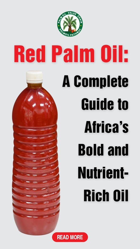 Red Palm Oil: A Complete Guide to Africa’s Bold and Nutrient-Rich Oil