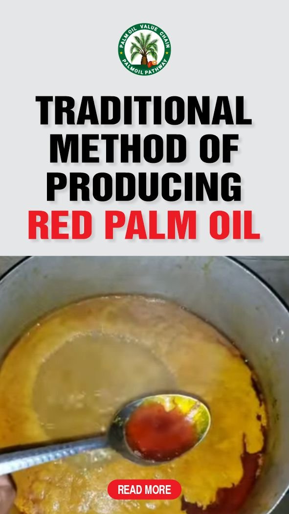 The Traditional Method of Producing Red Palm Oil